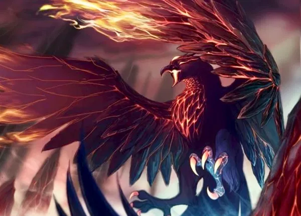 Profile of @Shadow phoenix