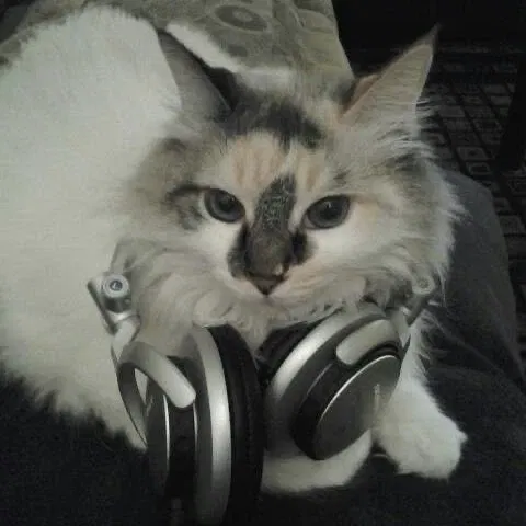 Profile of @Nezzie pooooooh