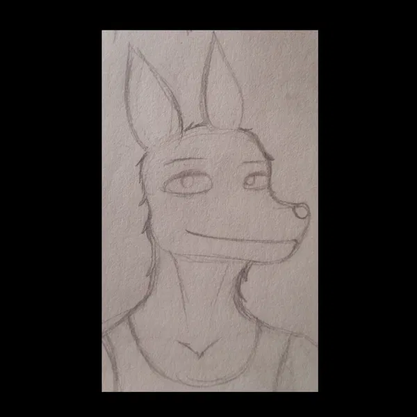 Profile of @KC.Reborn