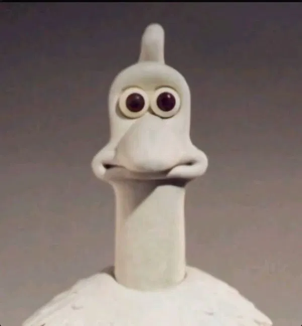 Profile of @Pablo, the White chicken