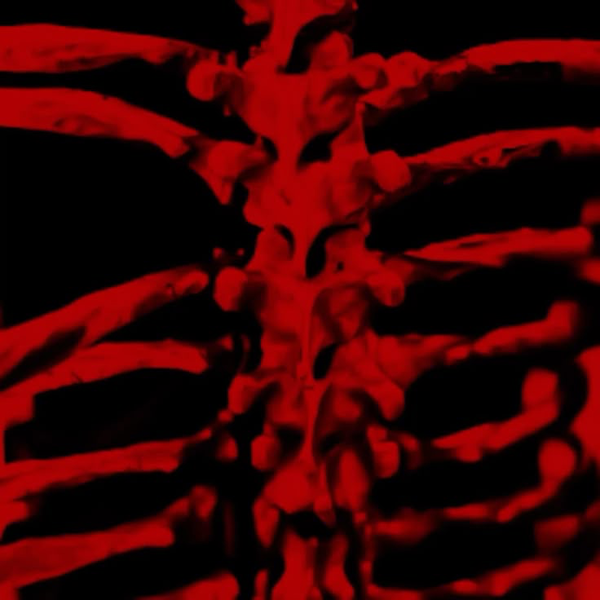 Profile of @bleedingheartdove