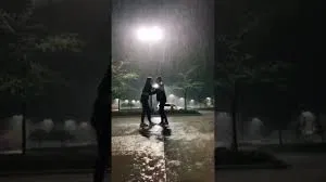Alexander (dancing in the rain)