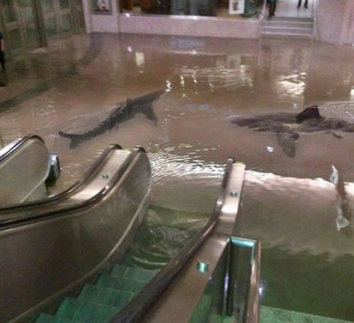 Flooded mall