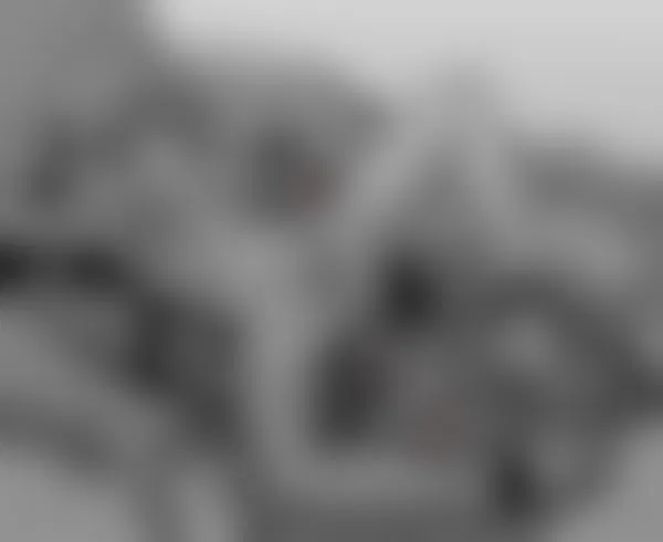 Muffin | Your Catboy "Slave"