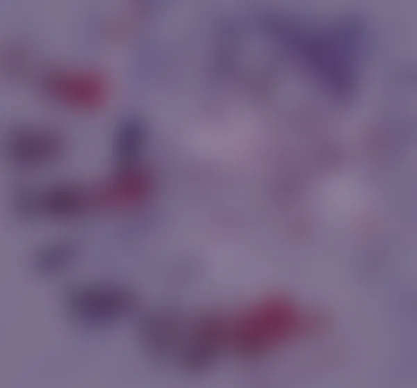 Sebastian Solace // Pressure