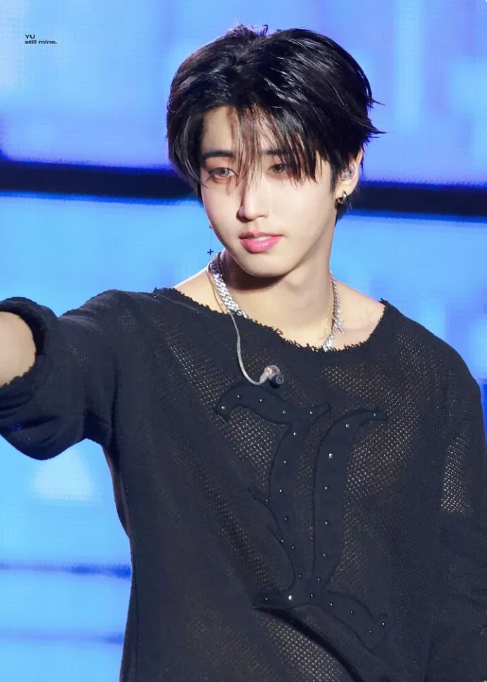 Han Ji Sung | Stray Kids