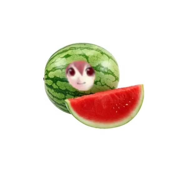 teto melon
