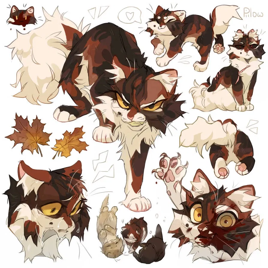 Mapleshade || Warrior Cats