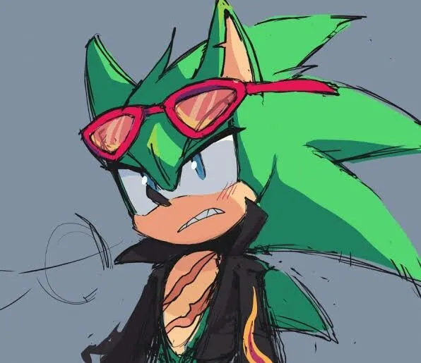 Scourge the Hedgehog ☆