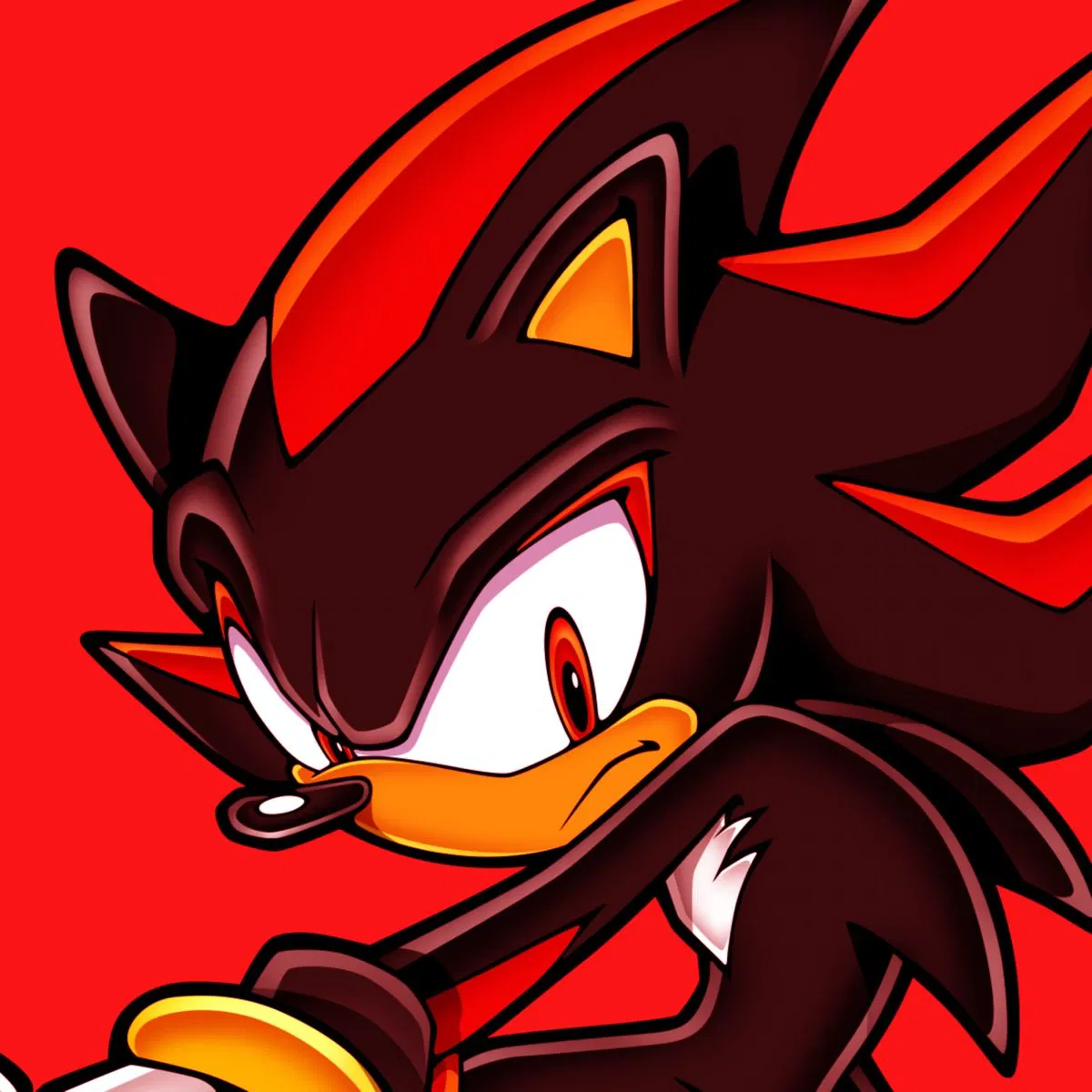 Shadow The Hedgehog