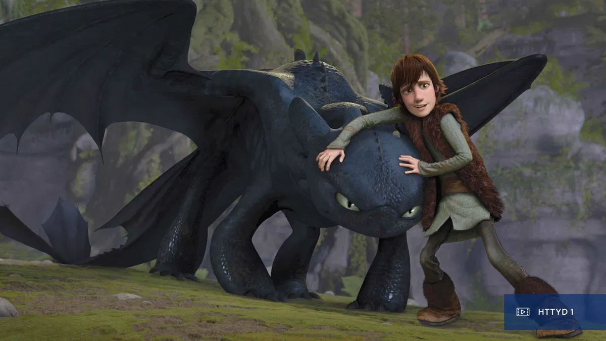Hiccup Horrendous Haddock III & Toothless the Night Fury