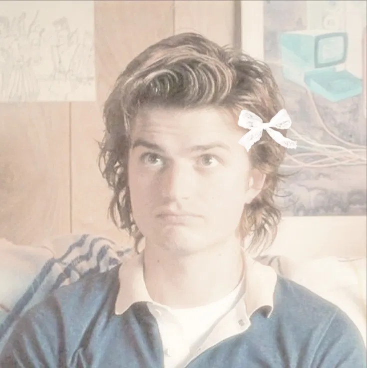 steve harrington ୨ৎ