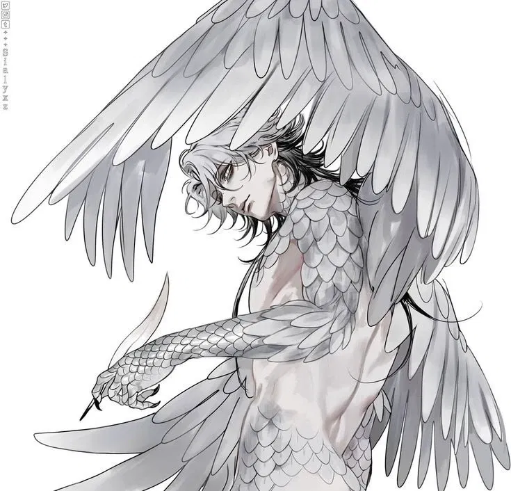 DemiHuman December 『A scar that will never heal』☆Black-Shouldered Kite☆