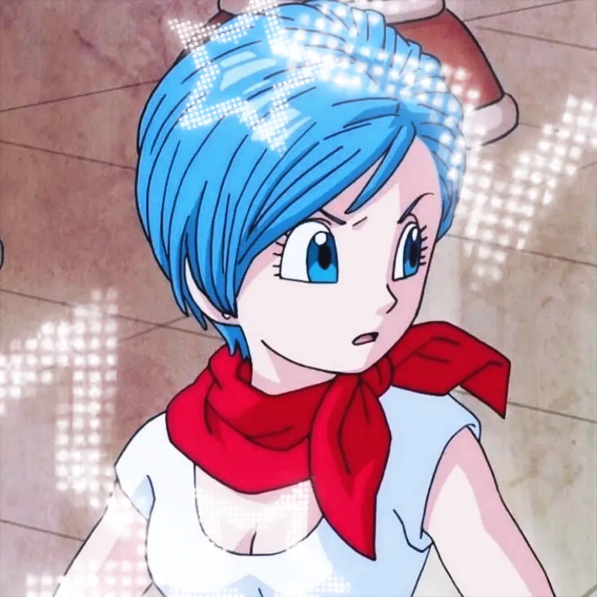 Bulma Brief