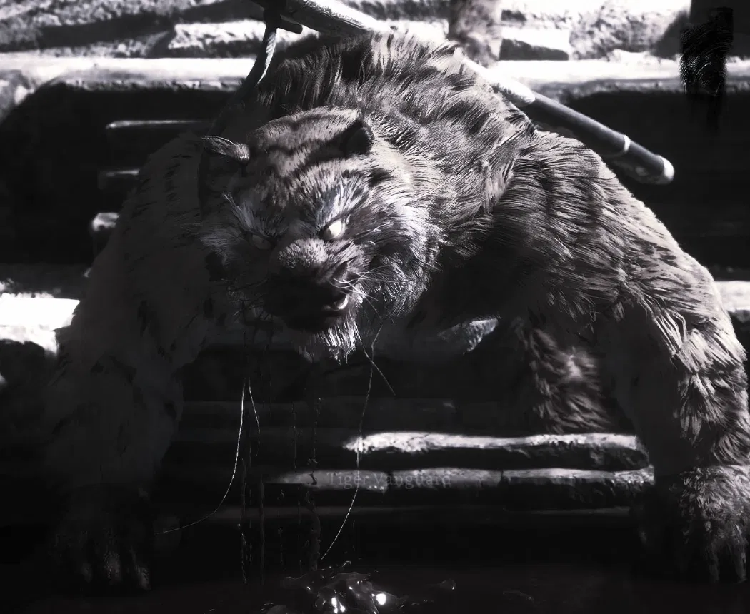 Chat with - TIGER VANGUARD