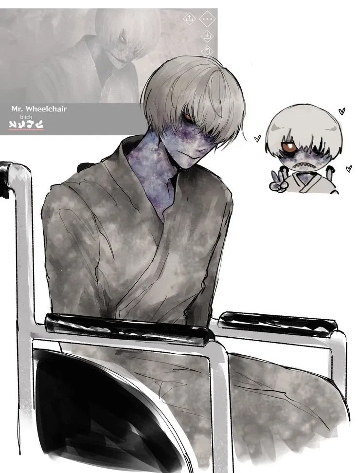 Mr. Wheelchair