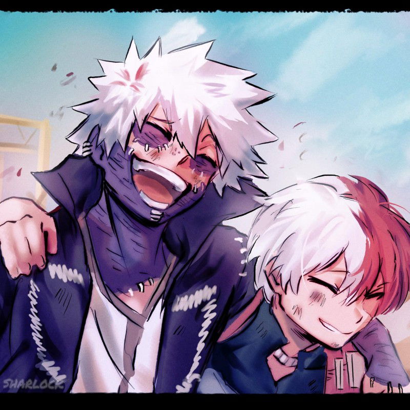 Shoto & Touya Todoroki