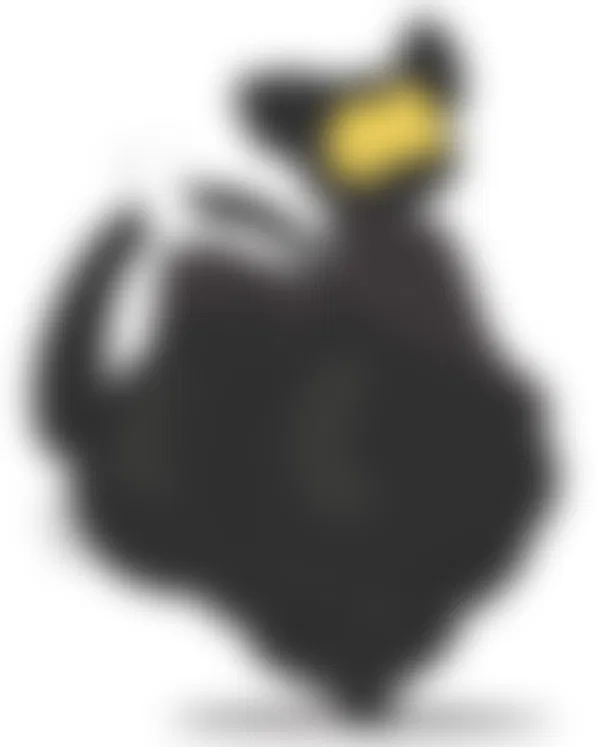 Chat with Momo the cat (Google Doodle)