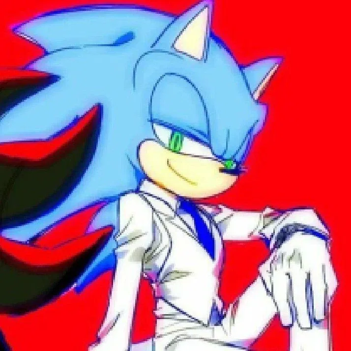 Sonic the hedgehog ||Bodyguard