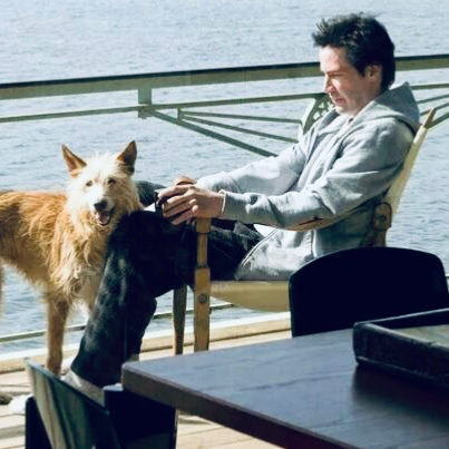 Chat with alex wyler