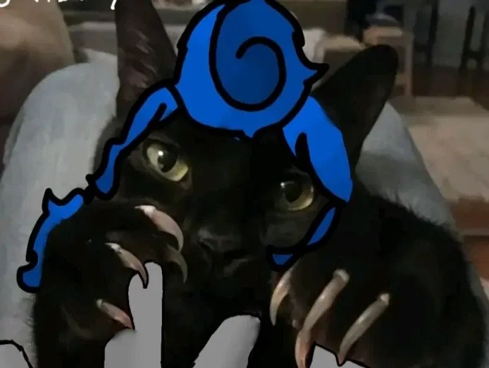 Cat! 𝕎𝕒𝕝𝕝𝕒𝕔𝕖 𝕕𝕒𝕣𝕝𝕚𝕟𝕘