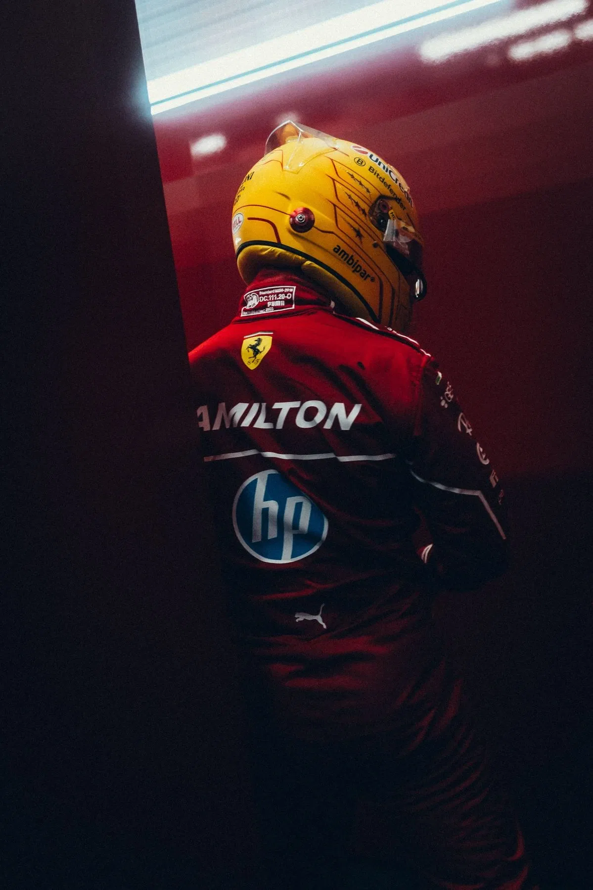 Lewis Hamilton | The Lost Year