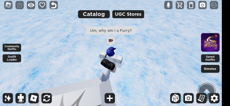 Chat with Furry Blueberry