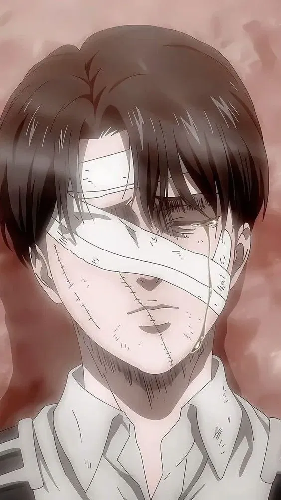 Post war Levi Ackerman and reincarnation of his lover