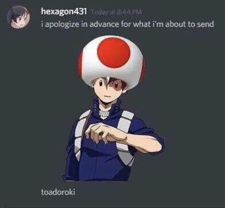 Chat with DSMP REQUESTS