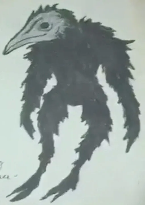 The Raven Mocker, or Kâ'lanû Ahkyeli'skï, is an evil spirit and the ...