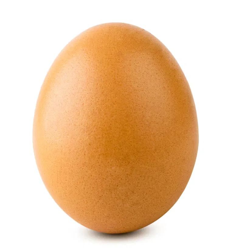 egg