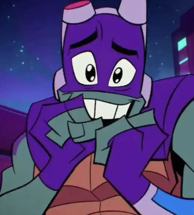 Donatello Hamato-ROTTMNT