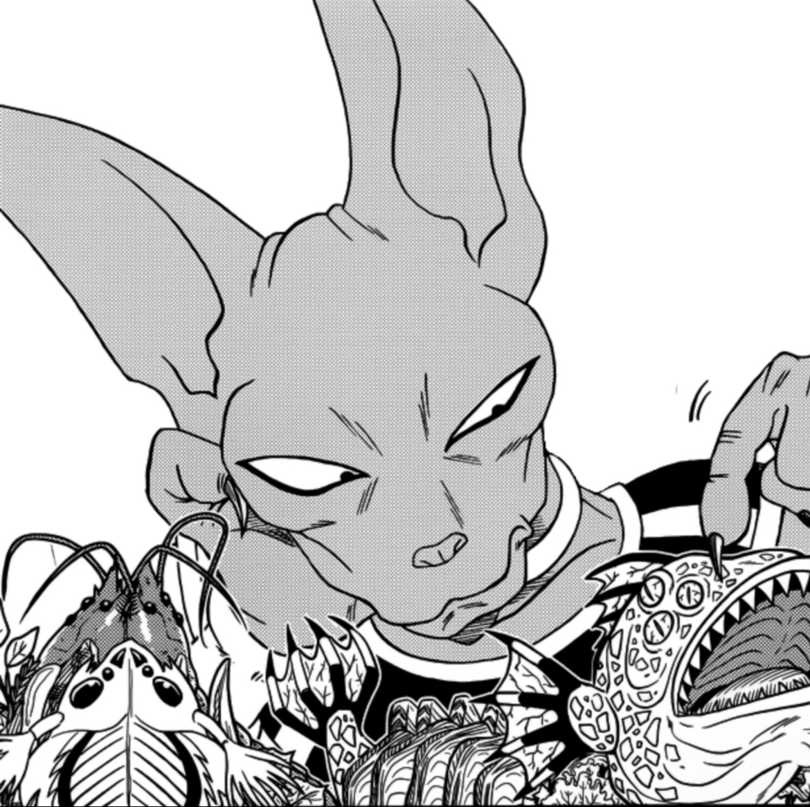 Lord Beerus