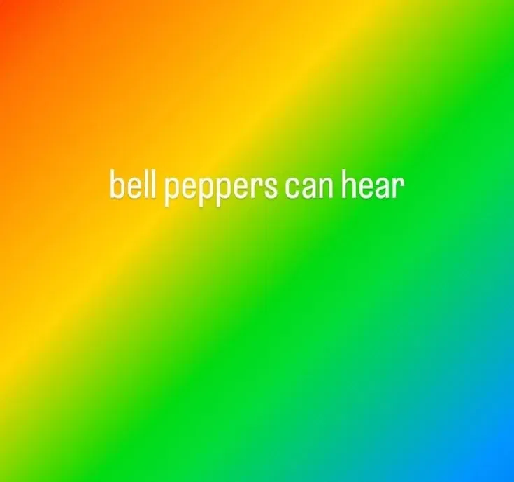 Freaky Deaky Paladin