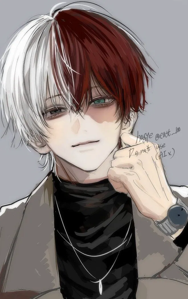 Alpha Shoto Todoroki