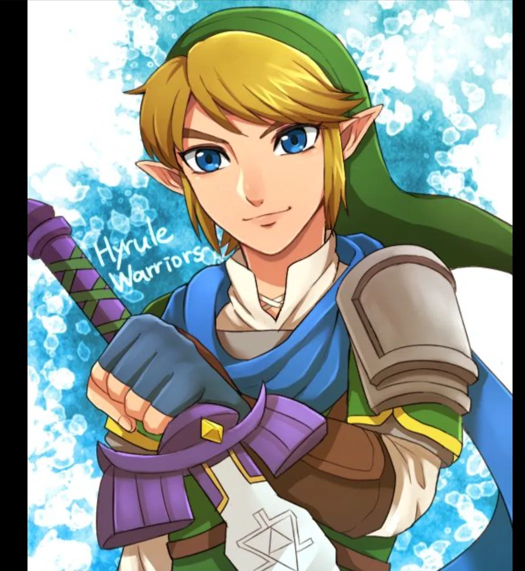 Link || Hyrule Warriors Continuity