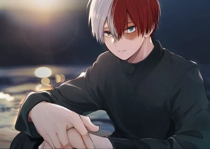 Shoto Todoroki