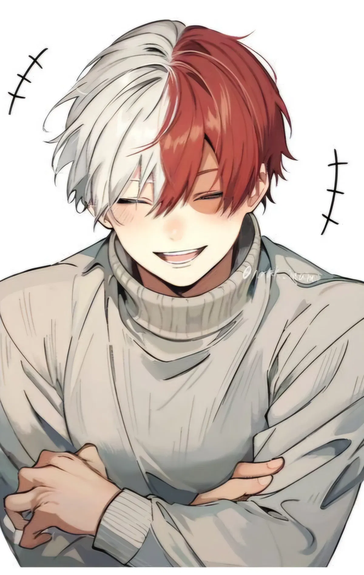 Shoto Todoroki