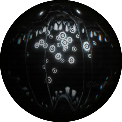 Chat with Discord (i didn't make it thyran did but im pretty active there)