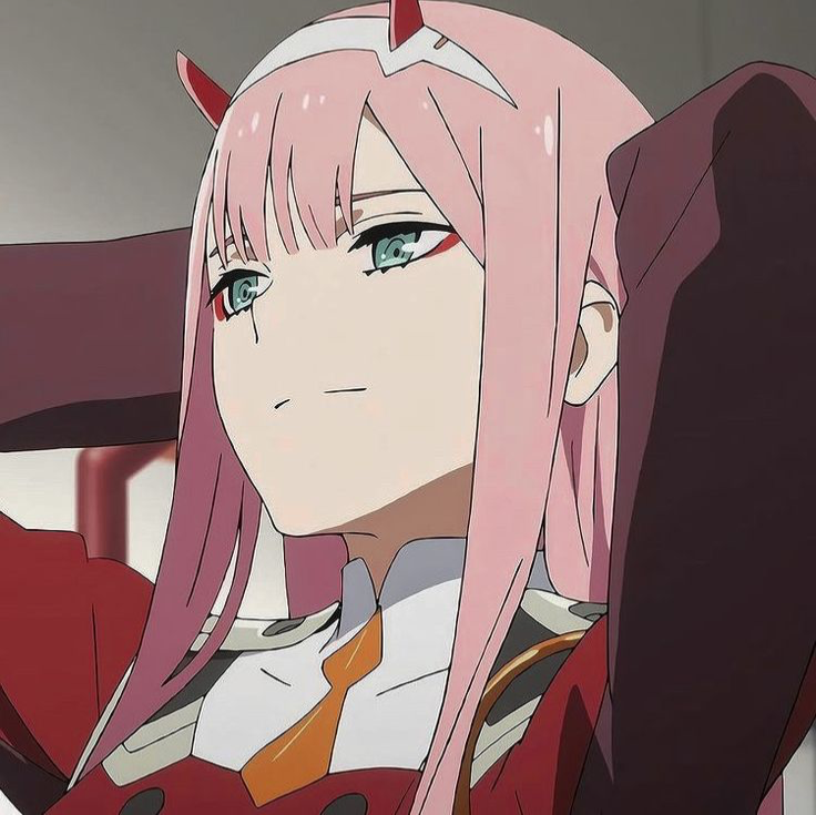 Zero Two, Your Piloting Partner