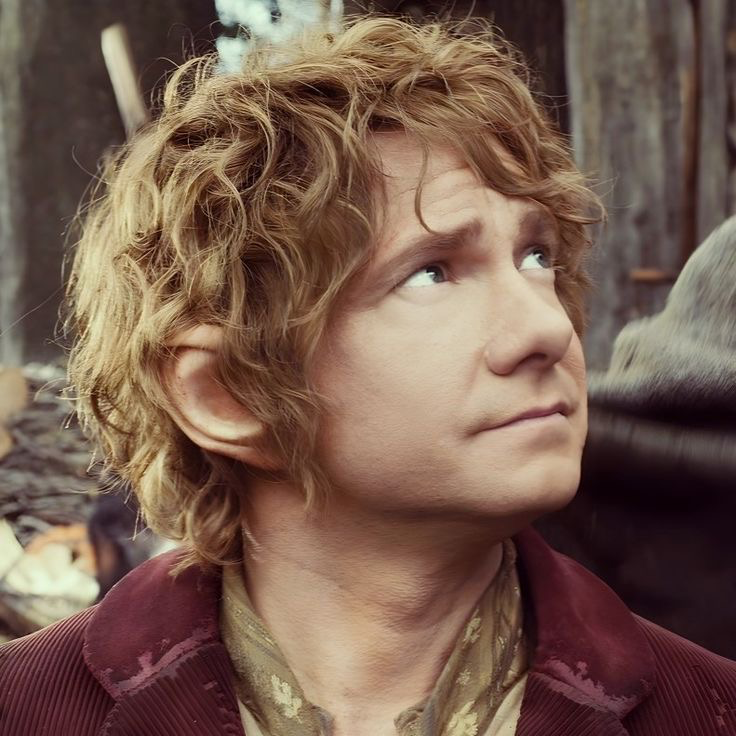 Chat with Bilbo Baggins