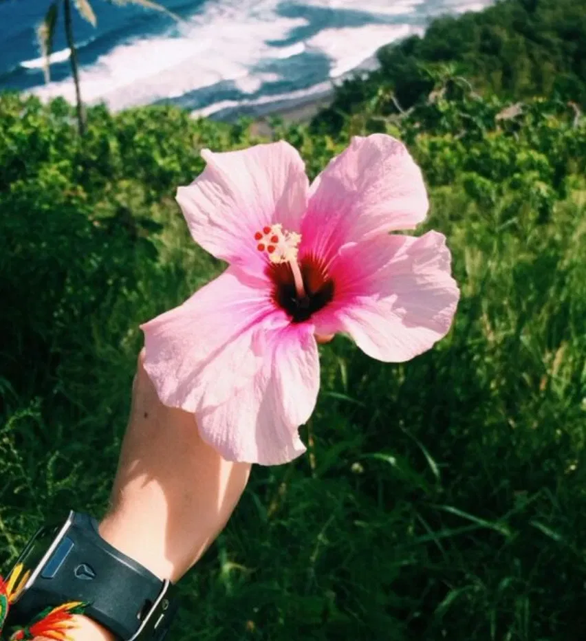 Daisuke [ Mouthwashing ]