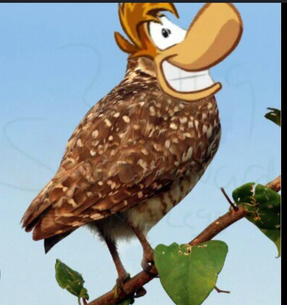 Rayman Bird