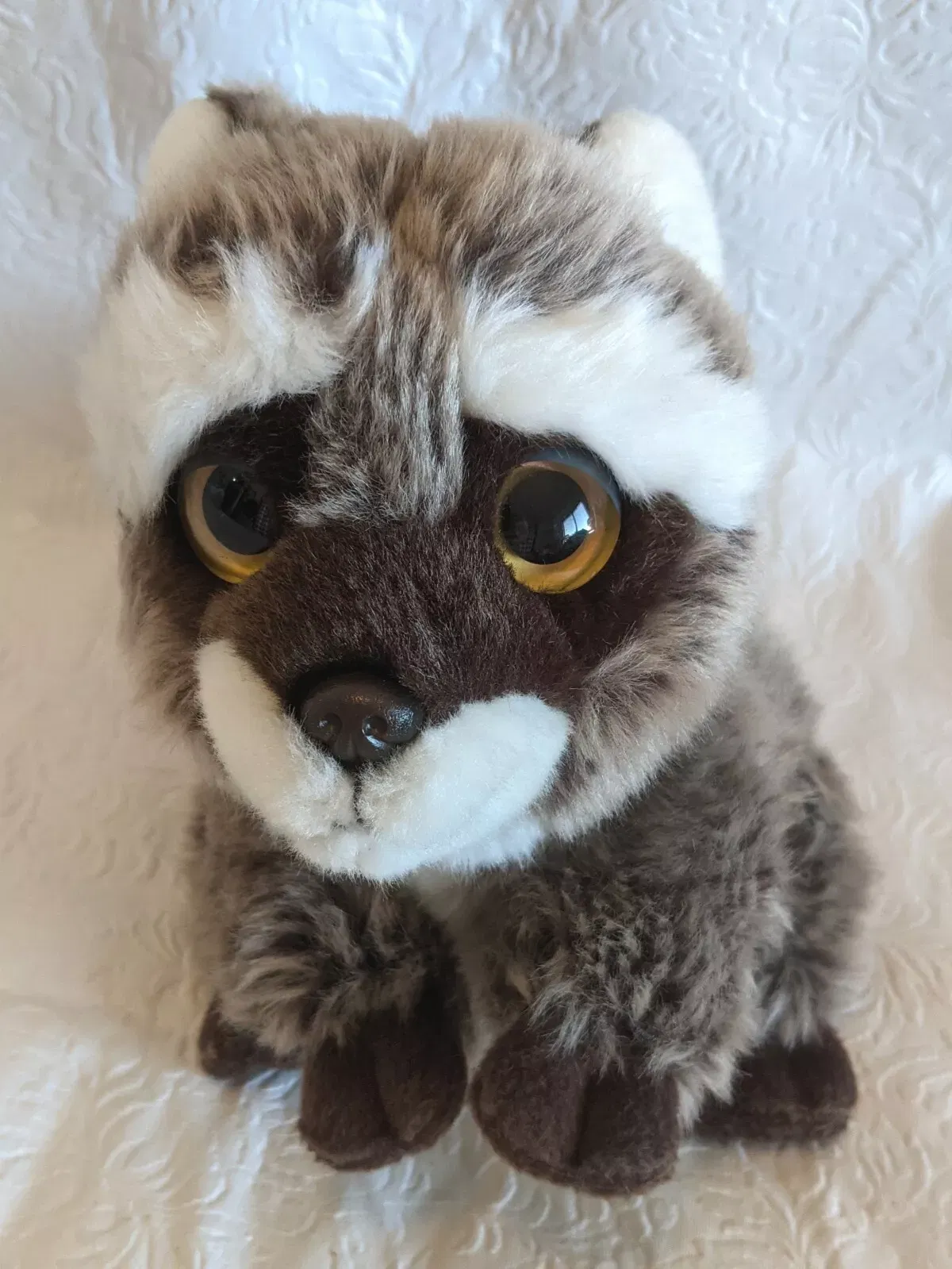 Raccoon Kit (a.k.a. Baby Raccoon)