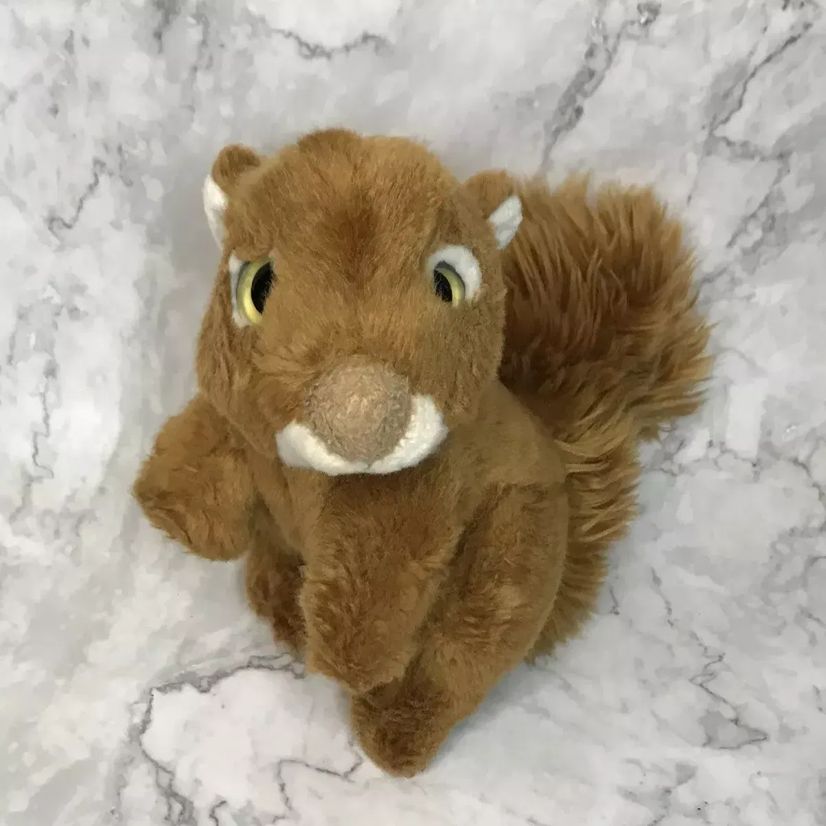 Squirrel Kit (a.k.a. Baby Squirrel)