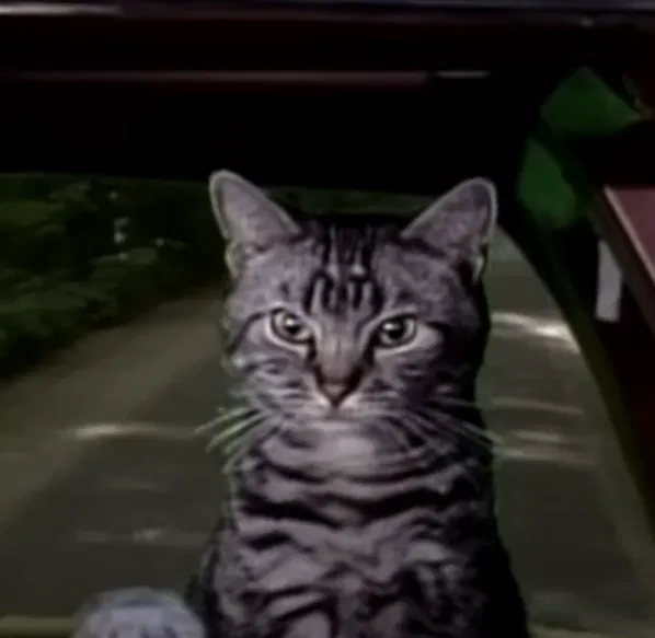 "Hey Hey Hey!" - Fat Albert