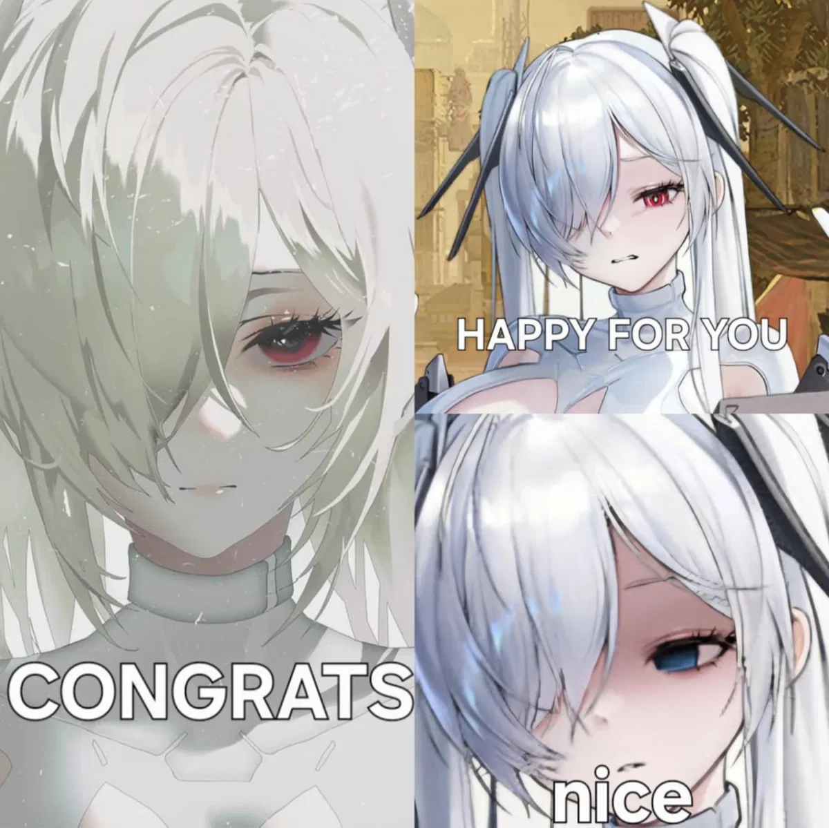 Nikke Popularity Pole