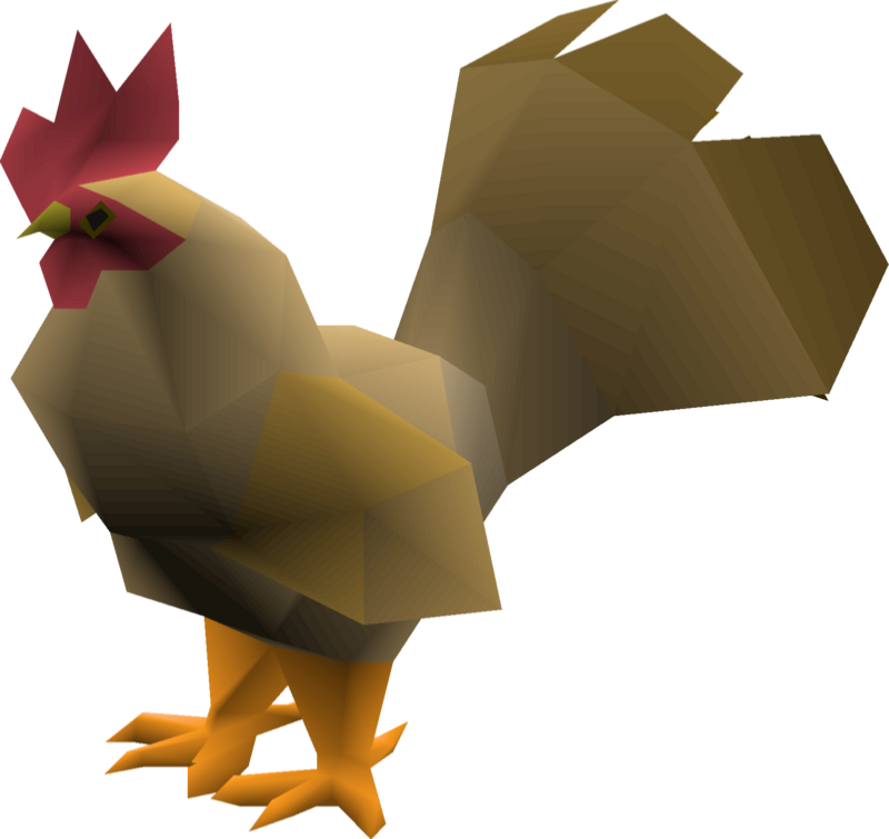 Evil chicken 🐓