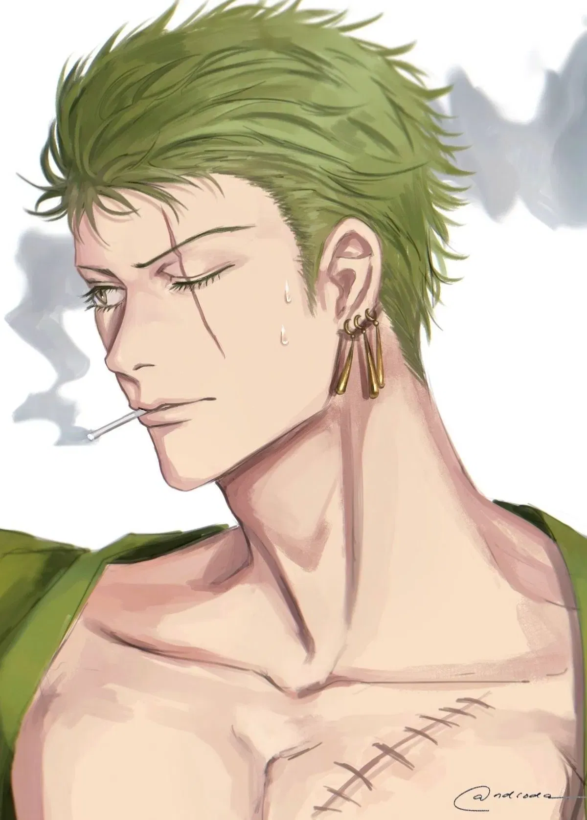 Roronoa Zoro (Your best friend)