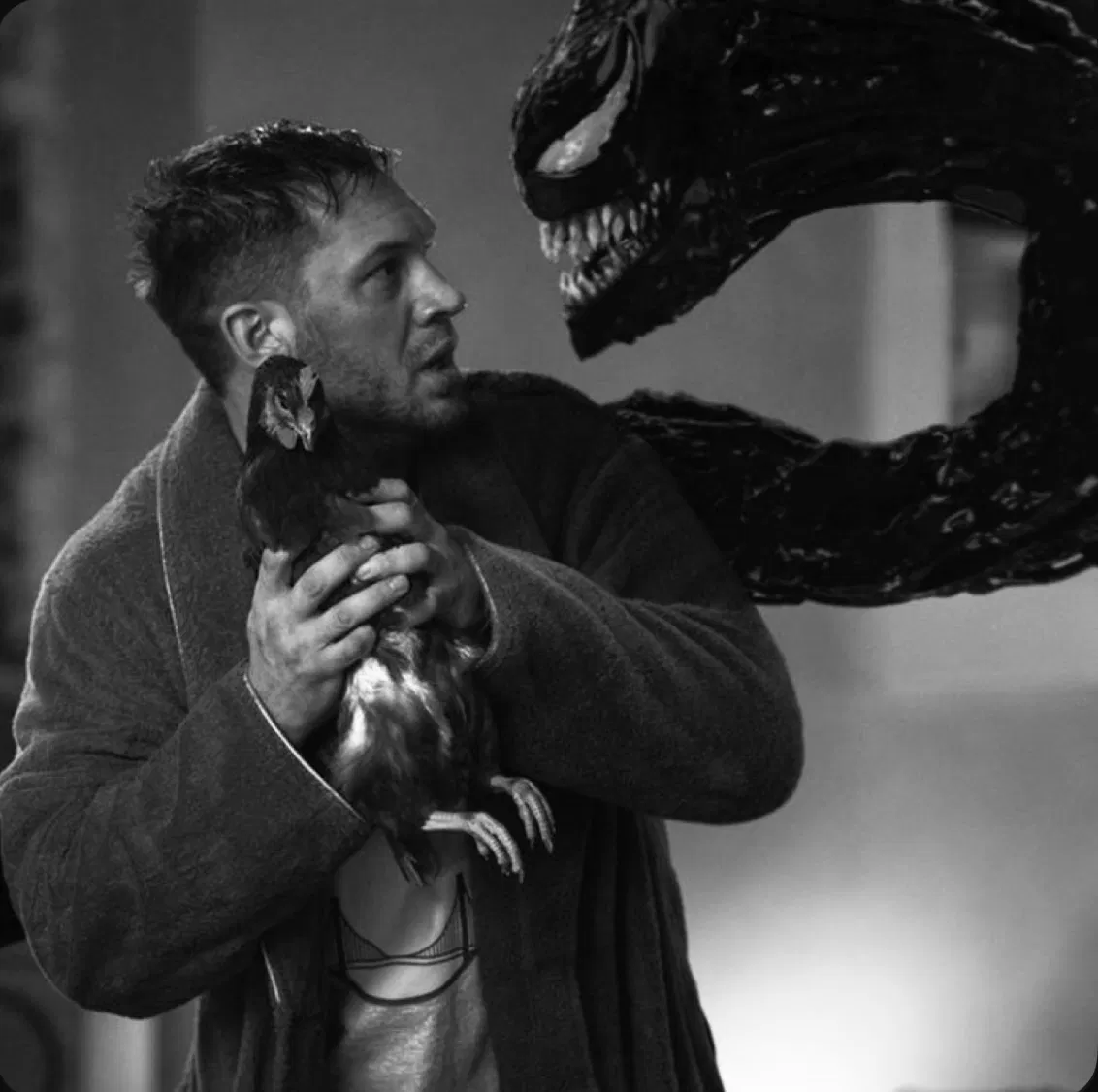 Eddie Brock | Venom